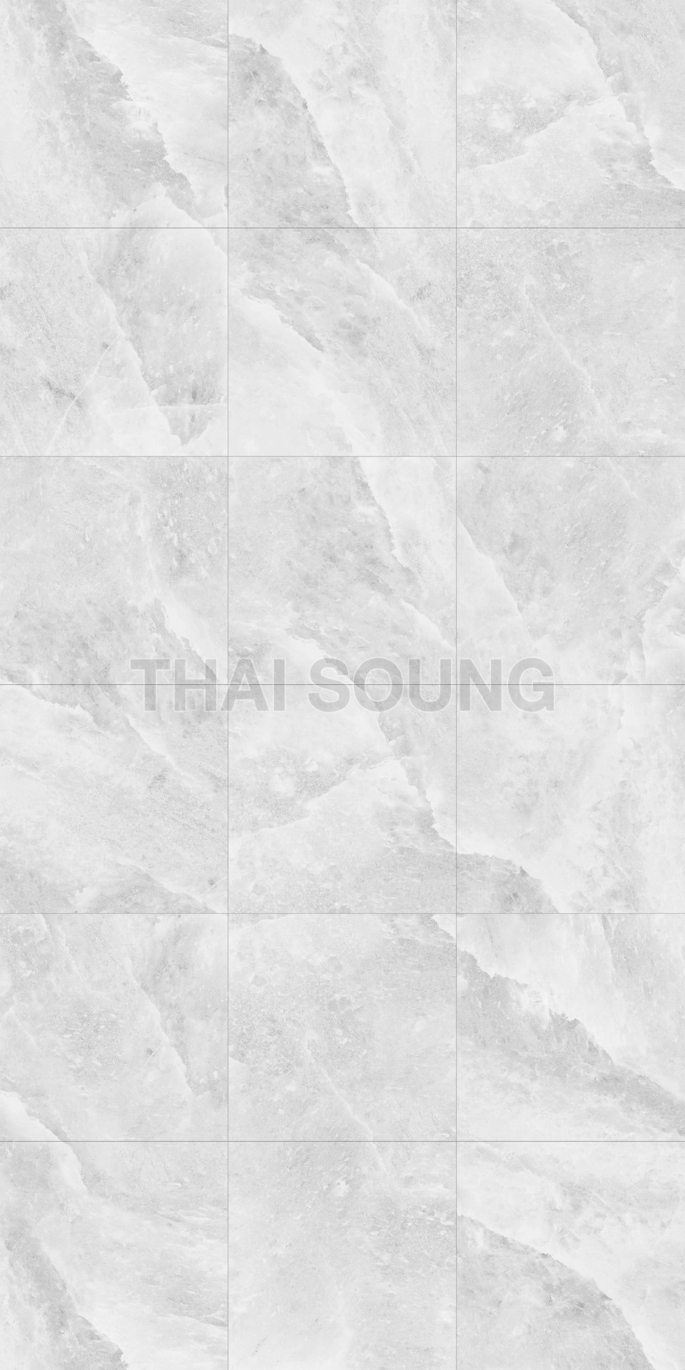 กระเบื้อง GT6633N CAESAR MARBLE WHITE CARVED MATT 60x60
